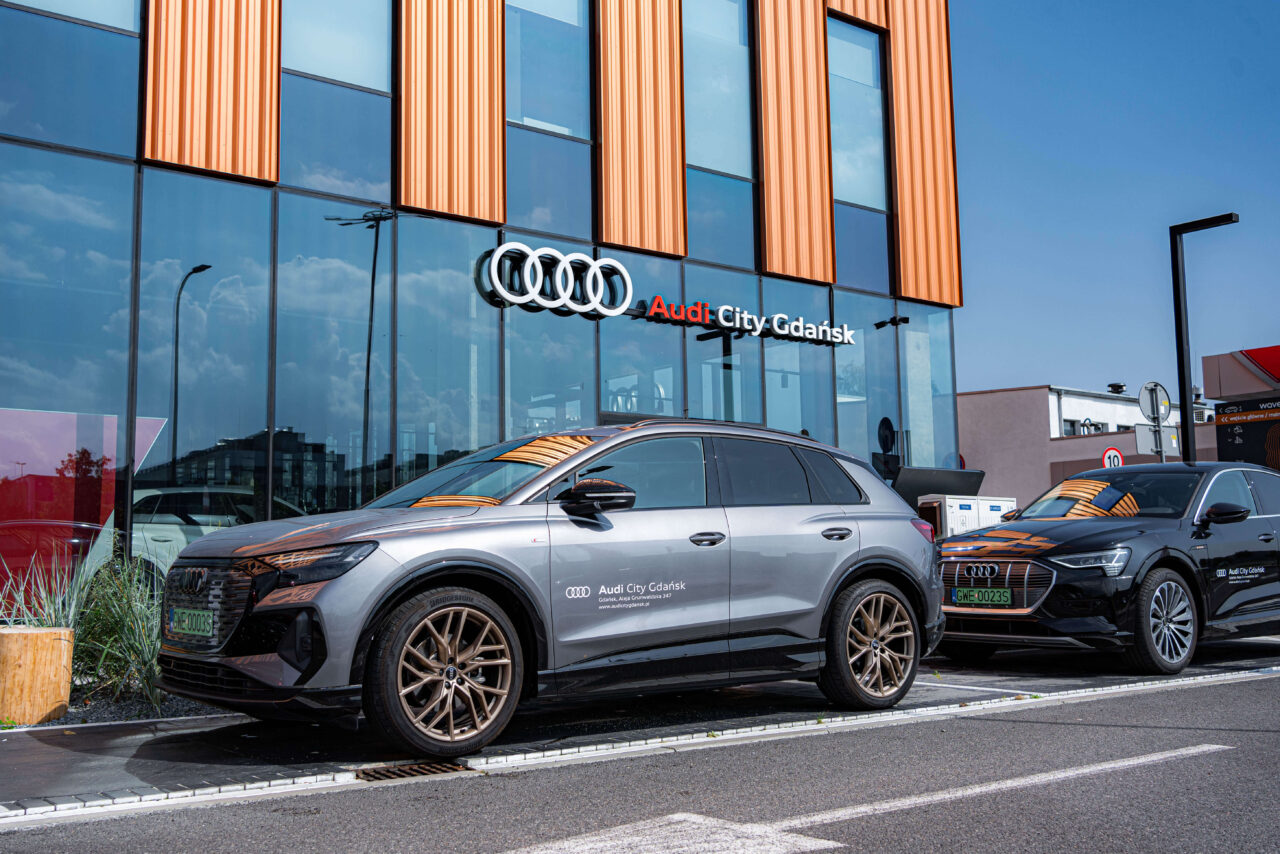 Salony - Audi Plichta